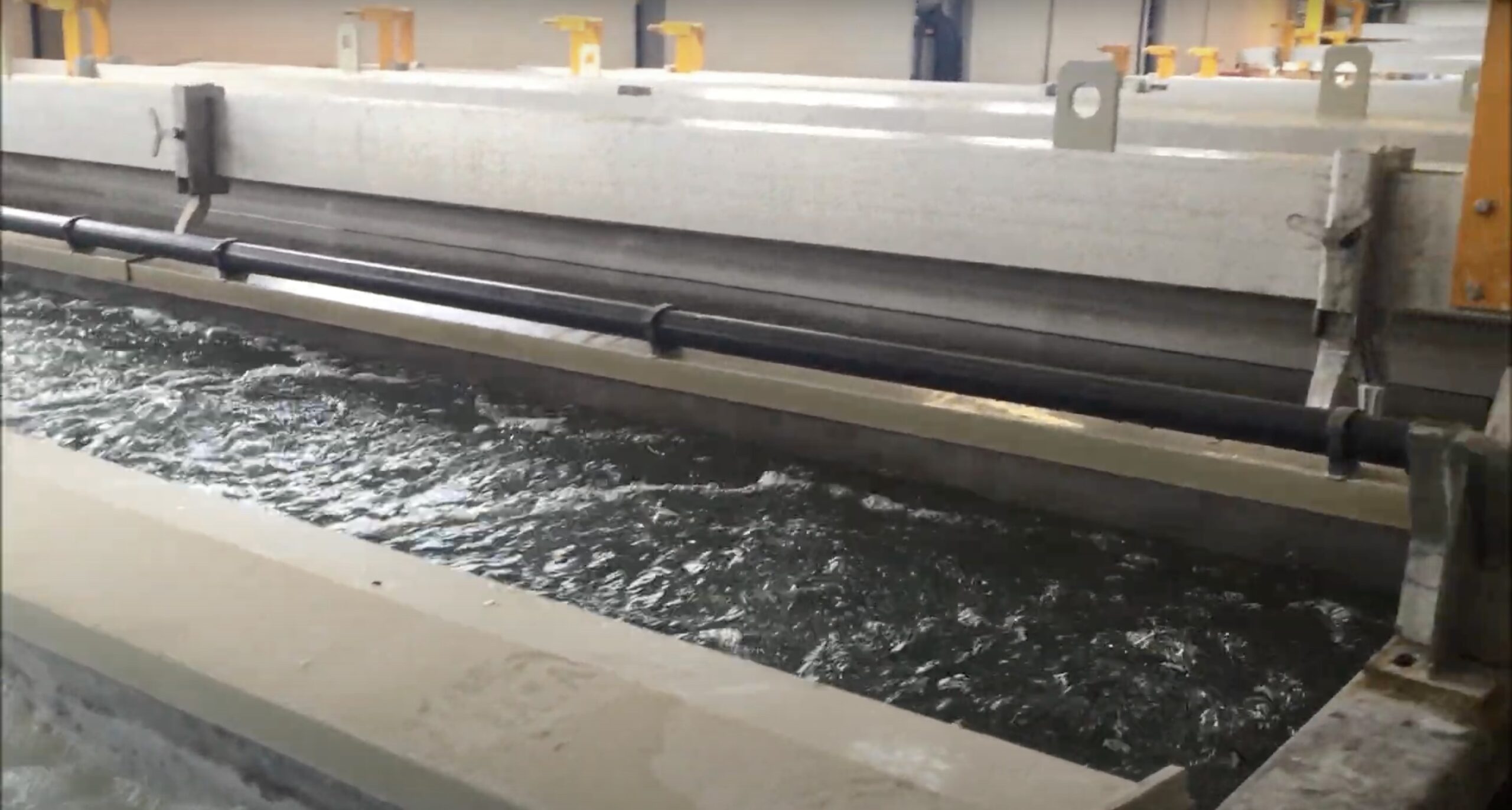 Electro colour - jasaluminiumindustries.in